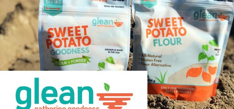 NC IDEA - Advancing Entrepreneurship in North Carolina